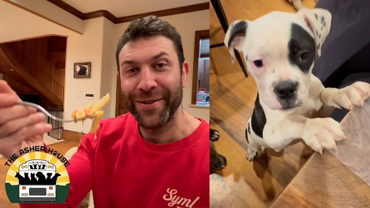 Cheffing up my own dinner with help from the pups | The Asher House ...