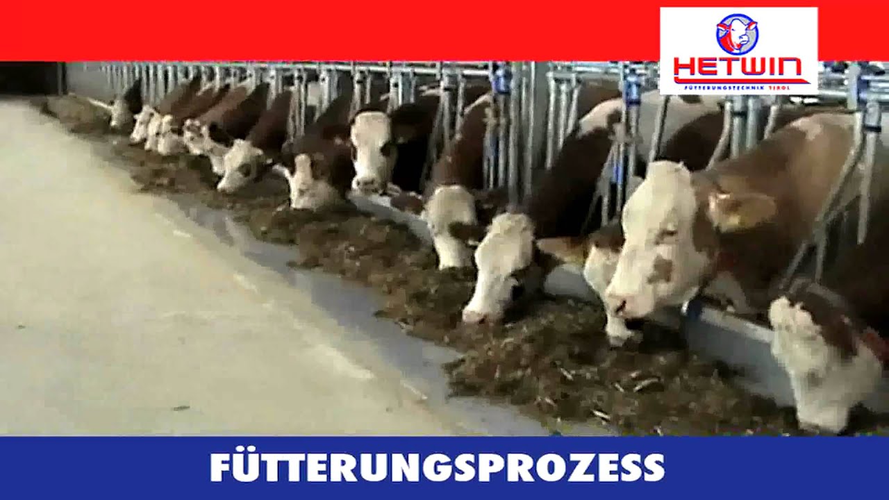hetwin_feedingrobot.wmv - YouTube