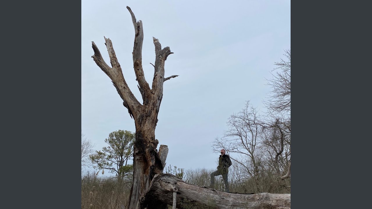 Find Me Funny - YouTube