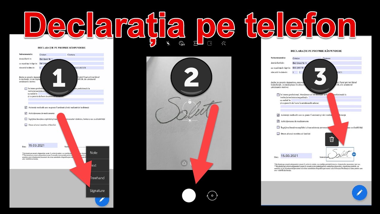 DECLARAȚIA pe propria răspundere varianta OFICIALA cu semnătura ...