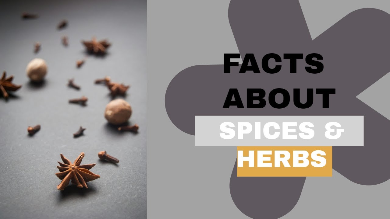 Top Interesting Facts about Spices & Herbs | Fascinating Facts - YouTube