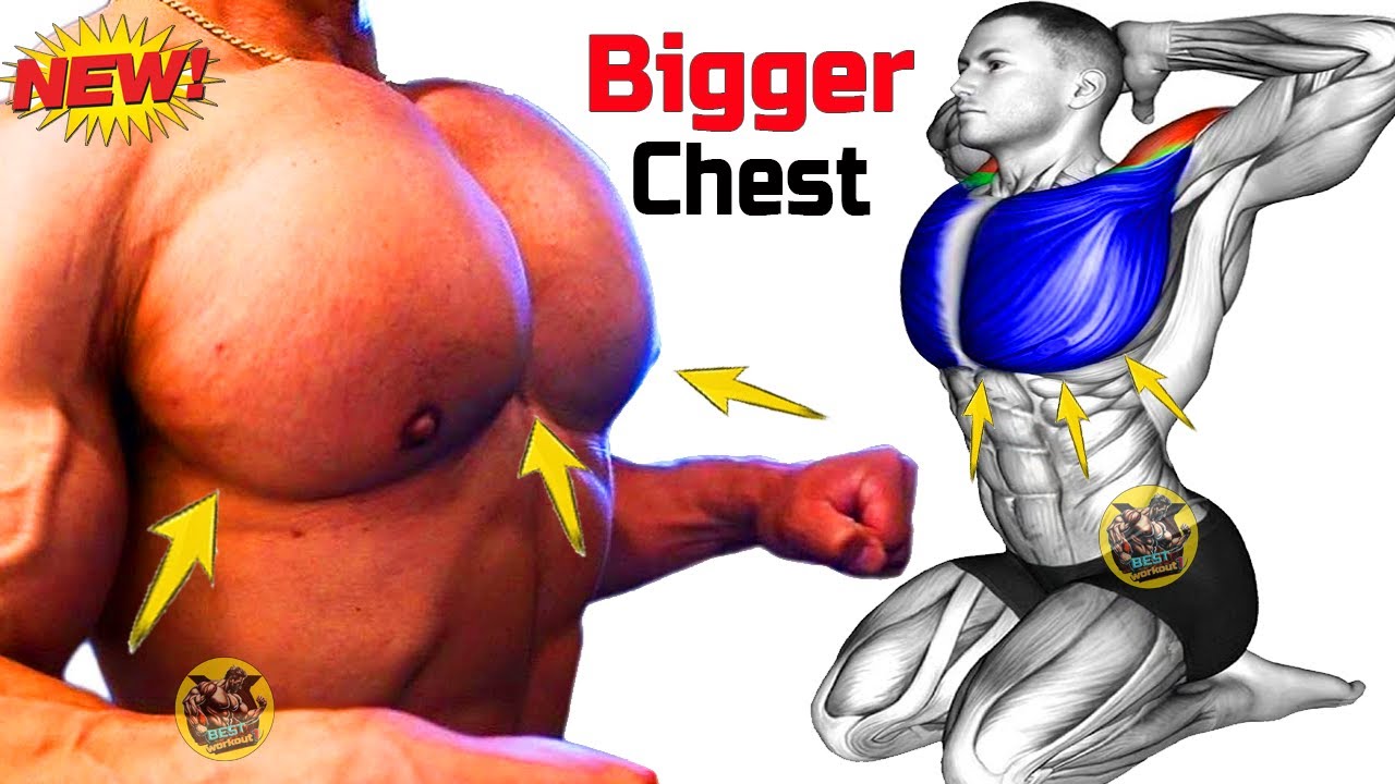"The Top 8 Chest Workouts for Building a Strong and big Upper Body ...