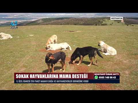 İL ÖZEL İDARESİ 250 PAKET MAMAYI DOĞA VE HAYVANSEVERLER DERNEĞİNE VERDİ