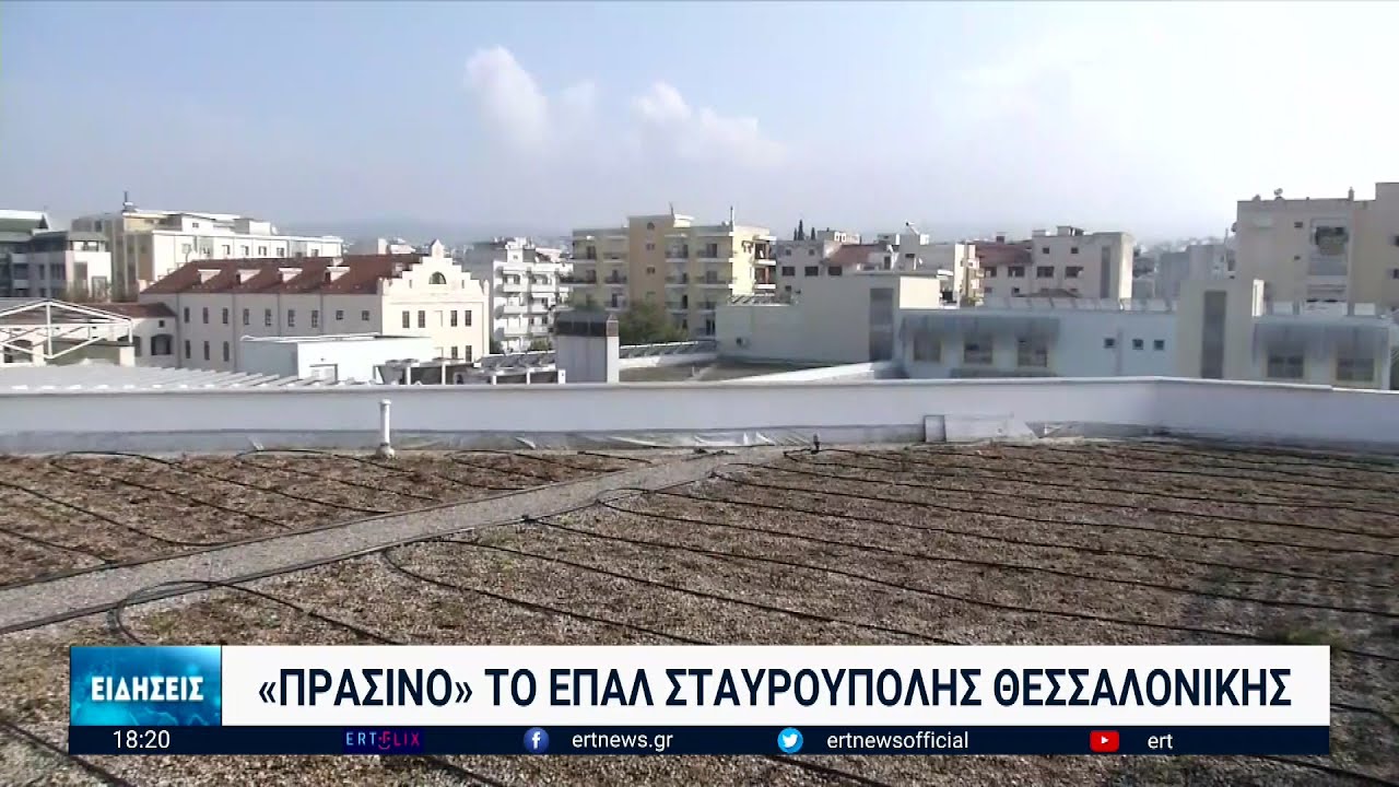 Θεσσαλονίκη: «Πράσινο» το ΕΠΑΛ Σταυρούπολης | 10/11/2022 | ΕΡΤ - YouTube
