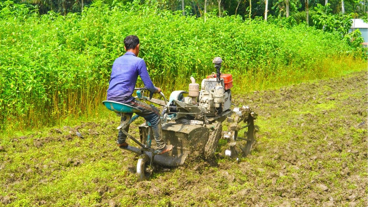 Fasted Power tiller machine driving | Little boy plowing paddy field ...