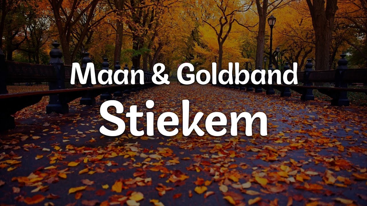 Maan & Goldband - Stiekem (Letra/Lyrics) | Official Music Video - YouTube