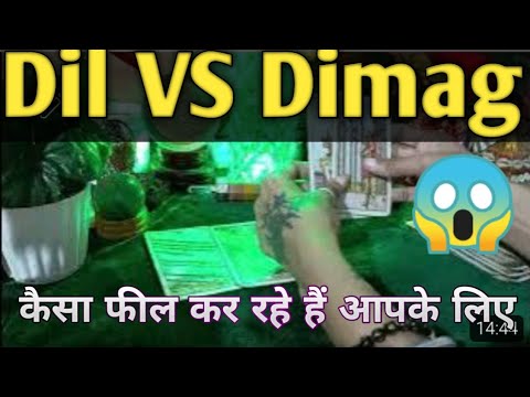 Dil aur dimag mein kya chal raha hai all sign timeless tarot 🌹🩶🩵🩵🤩🤩 ...