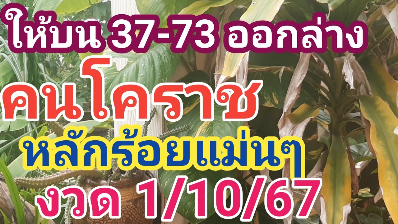 37-73 ให้บนออกล่าง คนโคราช ปล่อยต่อ ฟังให้จบ ฟันเน้นๆ 1/10/67 - YouTube