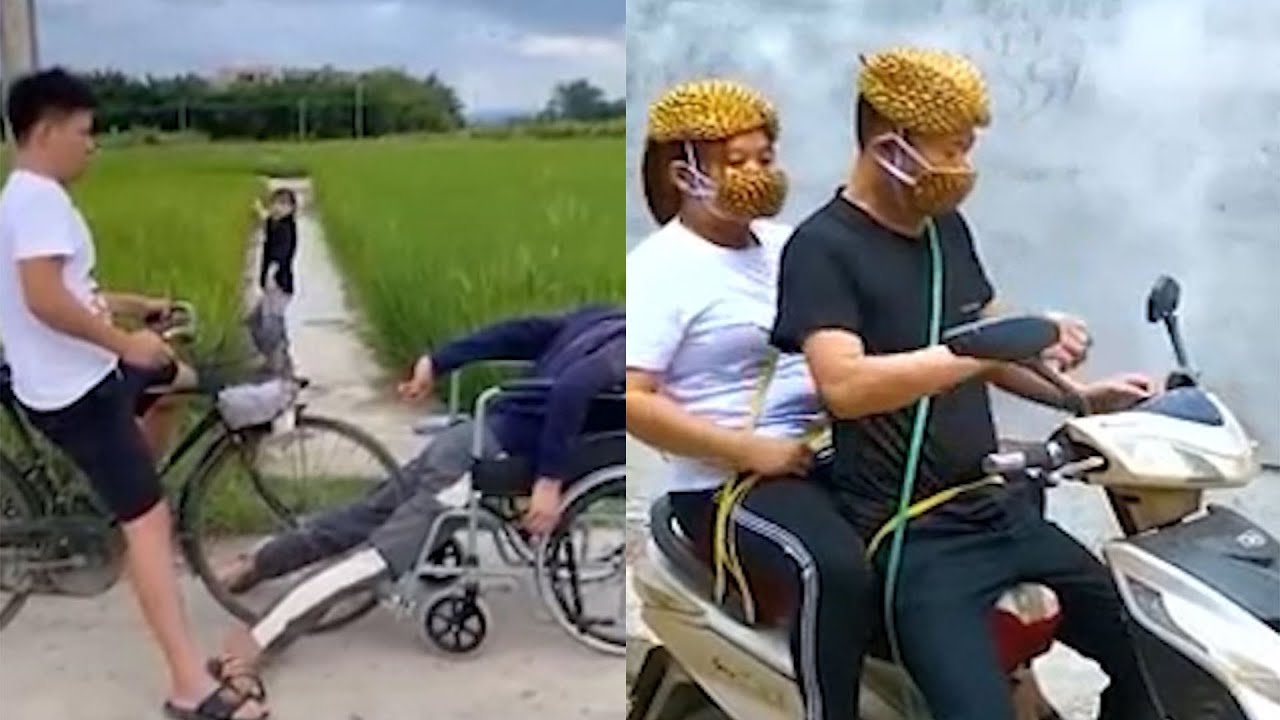 Best funny videos 2023 😂 Cutest People Doing Funny Things #164 - YouTube