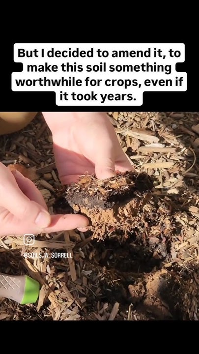 How to transform poor soil into something usable for growing plants🌱 - YouTube