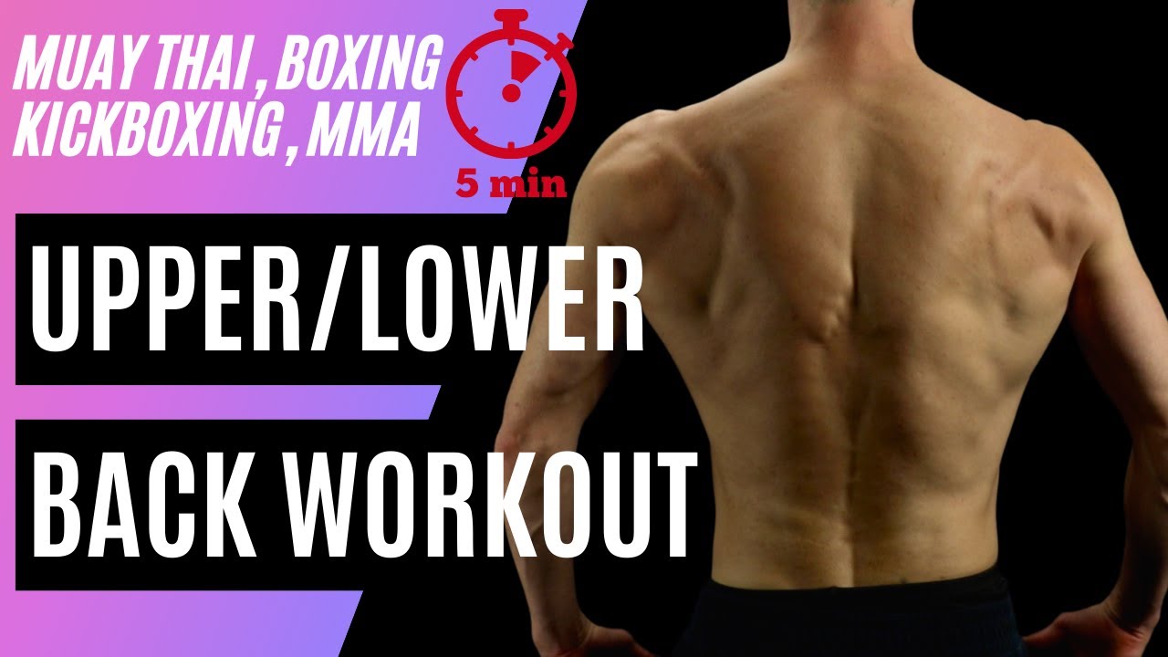 Upper and Lower Back Workout For Combat Sports - YouTube
