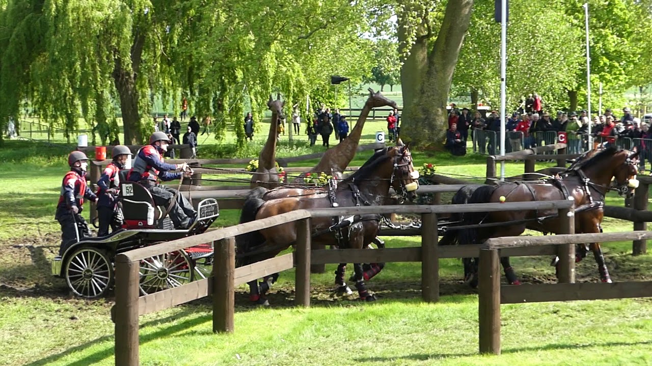 WEBER Chester, USA, Windsor RWHS, CAIO4# H4, Marathon Ob7, 11 05 2019 ...