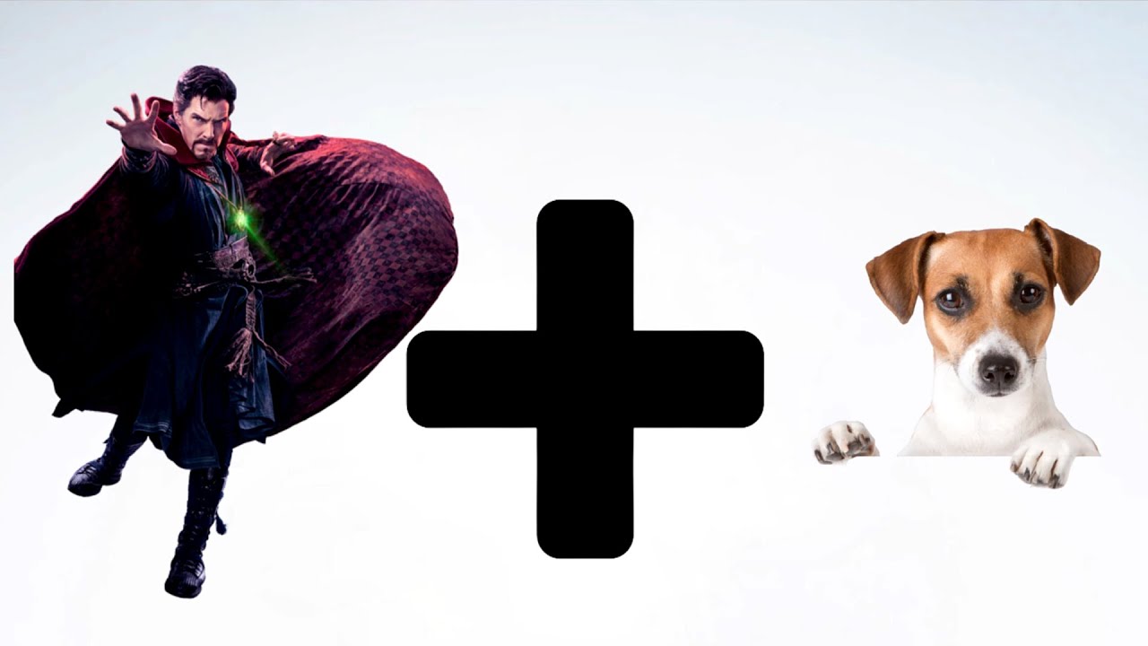 Doctor Strange + Dog = ??? | ANIMATION PART 9 - YouTube