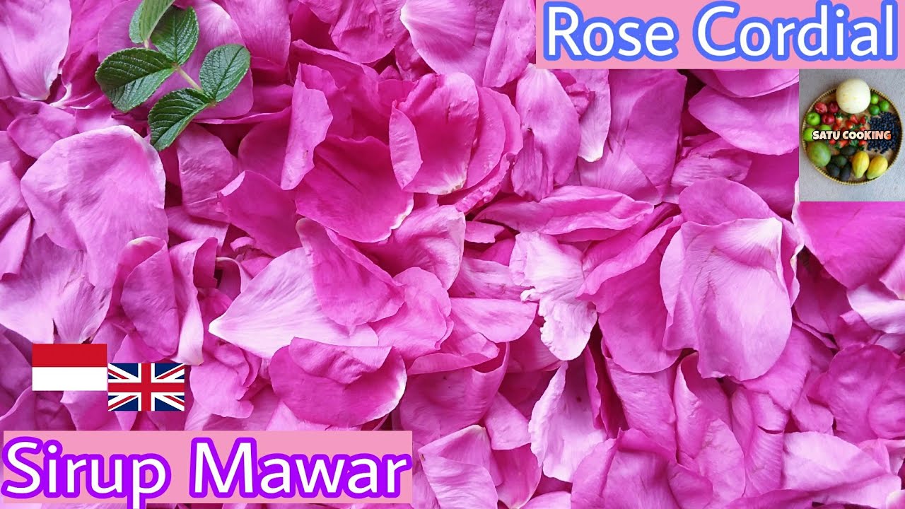 Membuat Sirup Rose Sendiri Dari Bunga Mawar Segar, Rasanya Persis Sirup ...