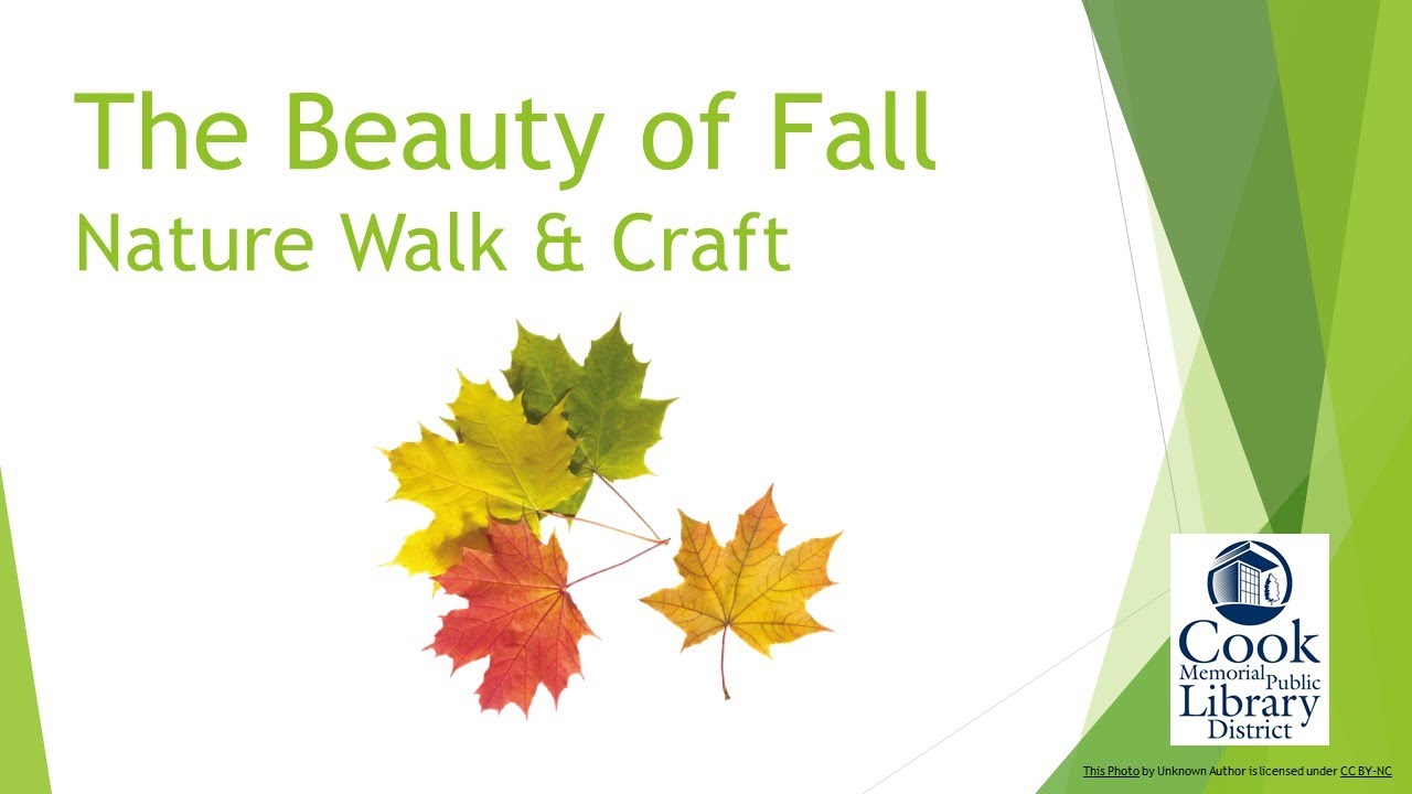 The Beauty of Fall: Nature Walk & Craft - YouTube