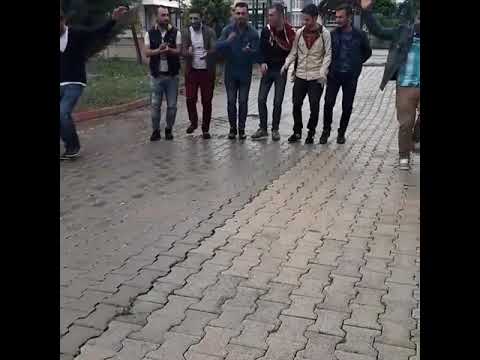 cida halay grani delilo dehşet ortaya çıkma ...