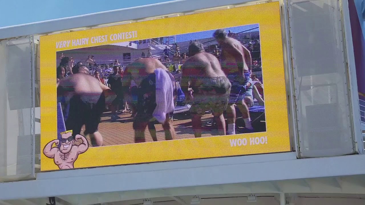 Hairy chest contest Carnival Sunshine 2017 #8 - YouTube