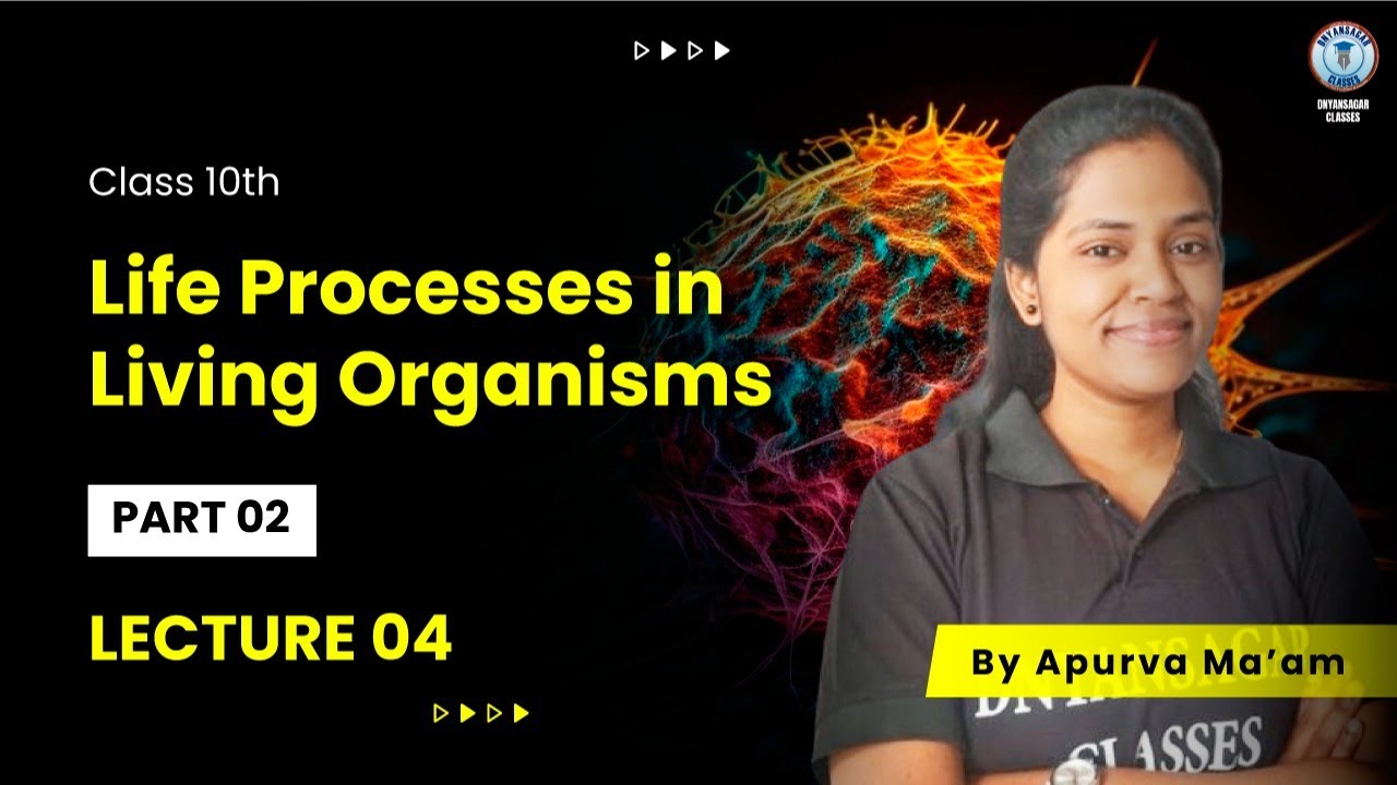 Male reproductive system | life Process| Part- 4 | Class 10th ...