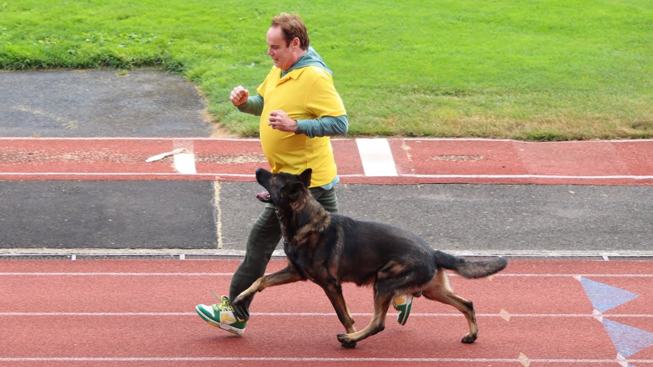 (SG) Viper Mineo - Kraftwork K9