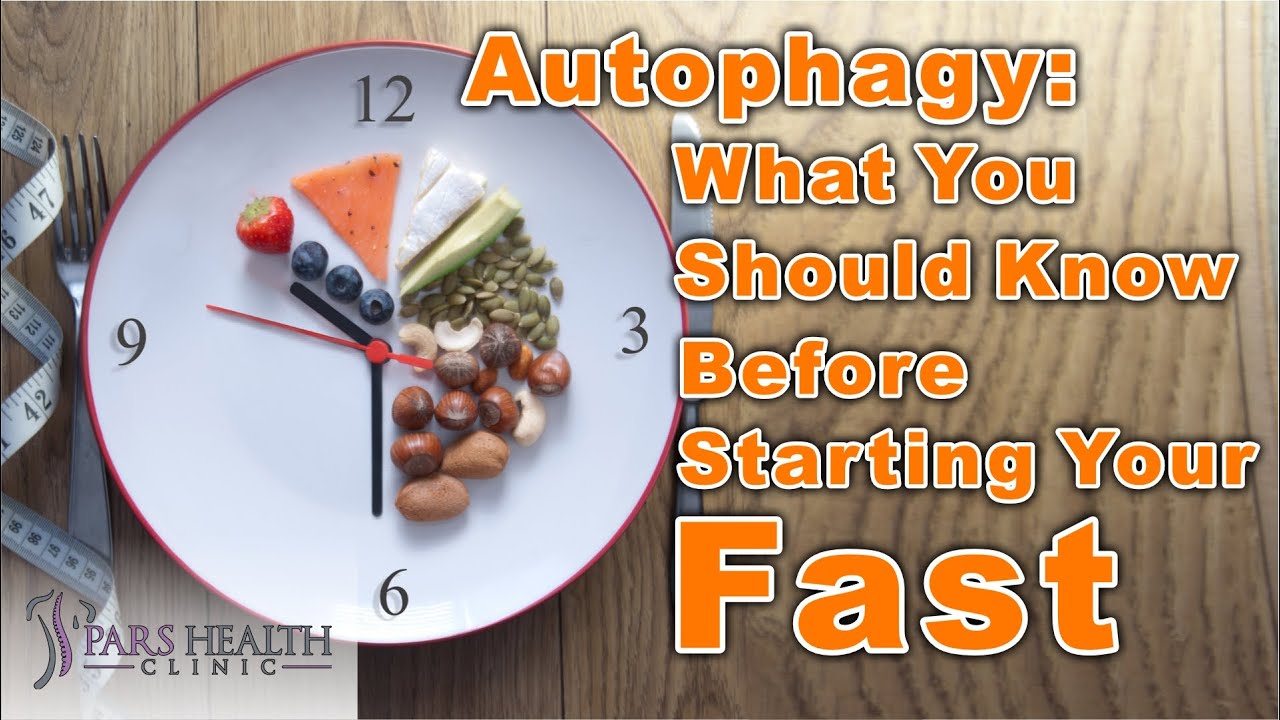 Autophagy: What You Should Know Before Starting Your Fast - YouTube
