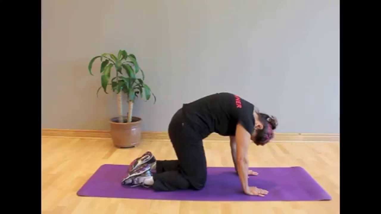 Back Spinal Flexion ( Cat Stretch ) - YouTube