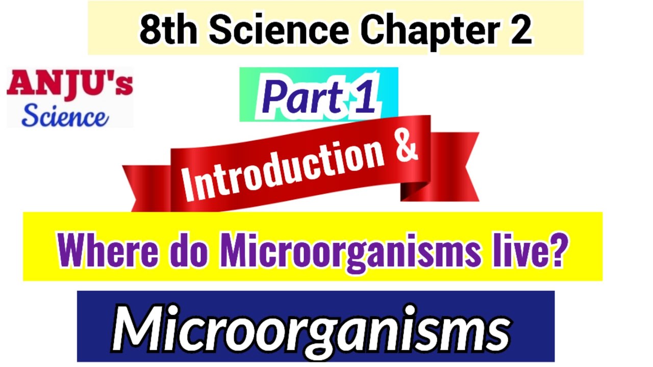 Part 1 Microorganisms || Where do Microorganisms live | Class 8 Chapter ...