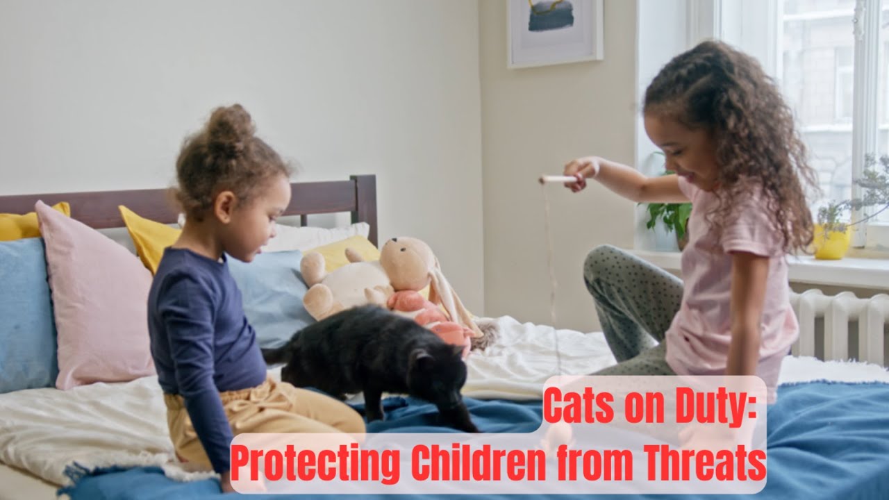 Cats on Duty: Protecting Children from Threats - YouTube