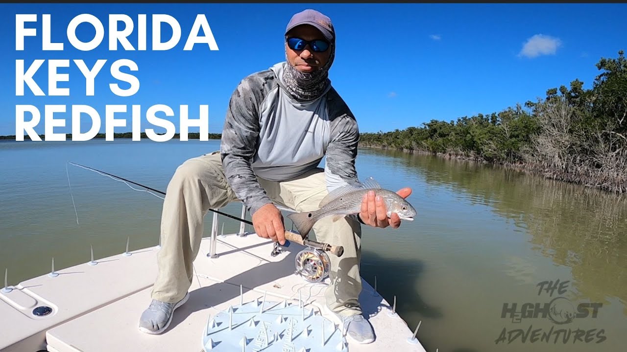 Flamingo National Park Red fish 2020 - YouTube