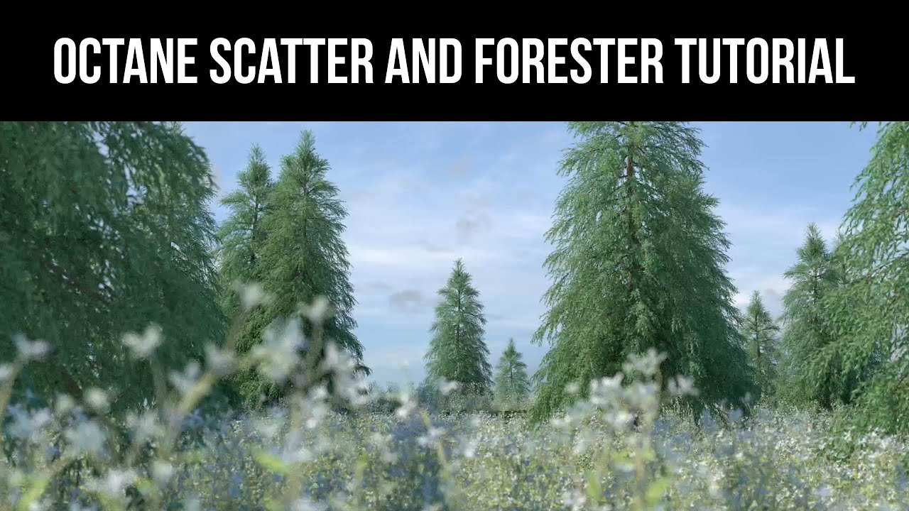 Cinema 4D Tutorial Create a Forest Scene with Octane Scatter and ...
