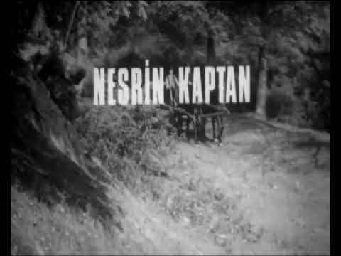 KIZGIN YABANCI/tamer yiğit figen han behçet nacar melek görgün
