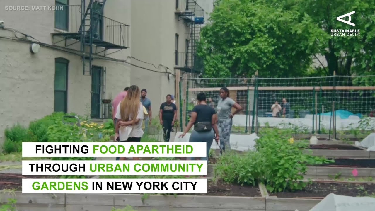 Just Food’s Sheryll Durrant: Leading the Urban Ag Revolution against Food Apartheid in NYC - YouTube