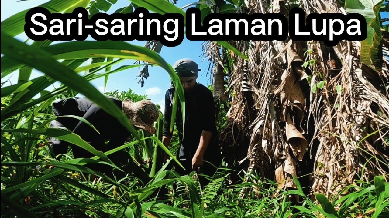 Iba't ibang Laman Lupa ang Nakuha namin#buhayprobinsya #countryside # ...