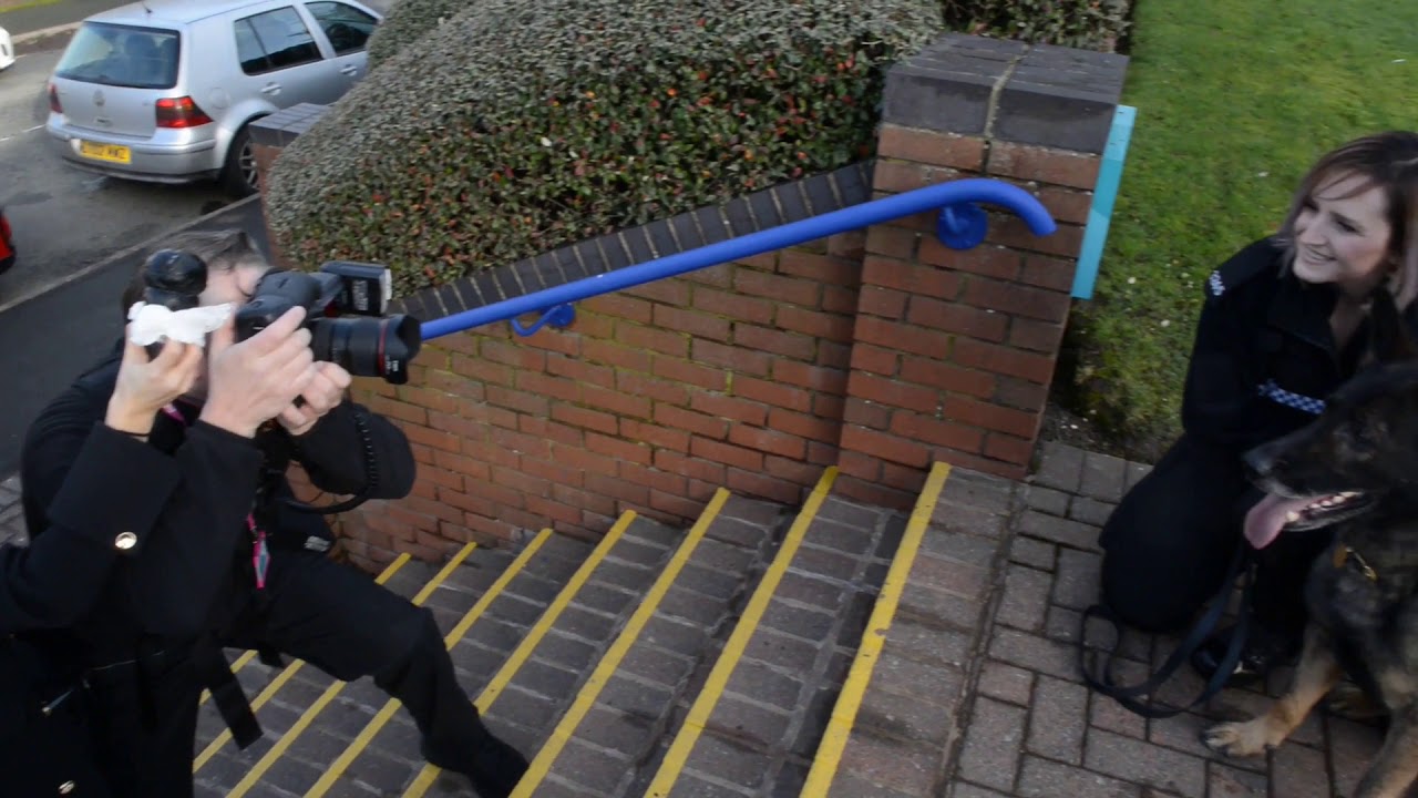 Bravery award for police dog Canto - YouTube