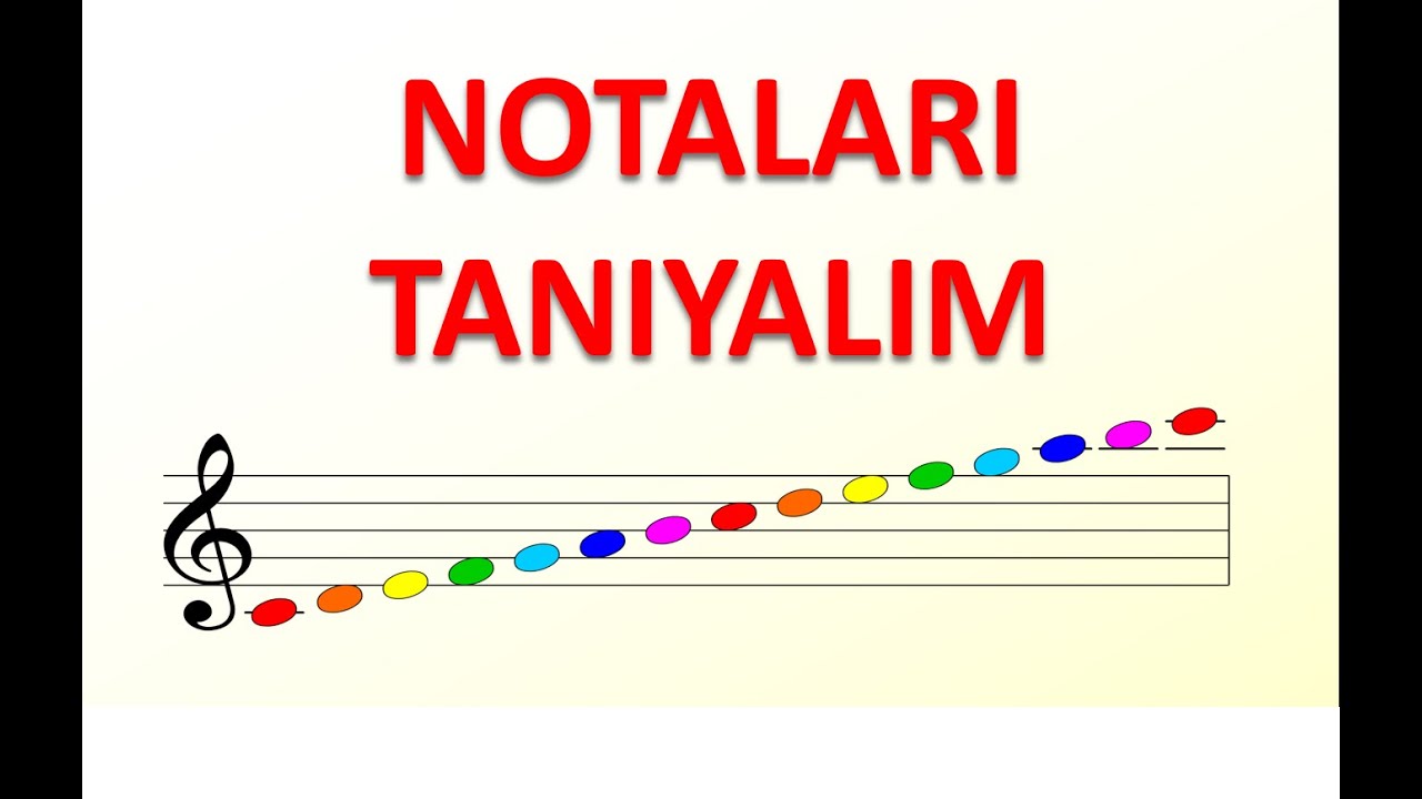 NOTALARI ÖĞRENİYORUZ - NOTALAR VE PORTE ÜZERİNDEKİ YERLERİ - NOTA ...