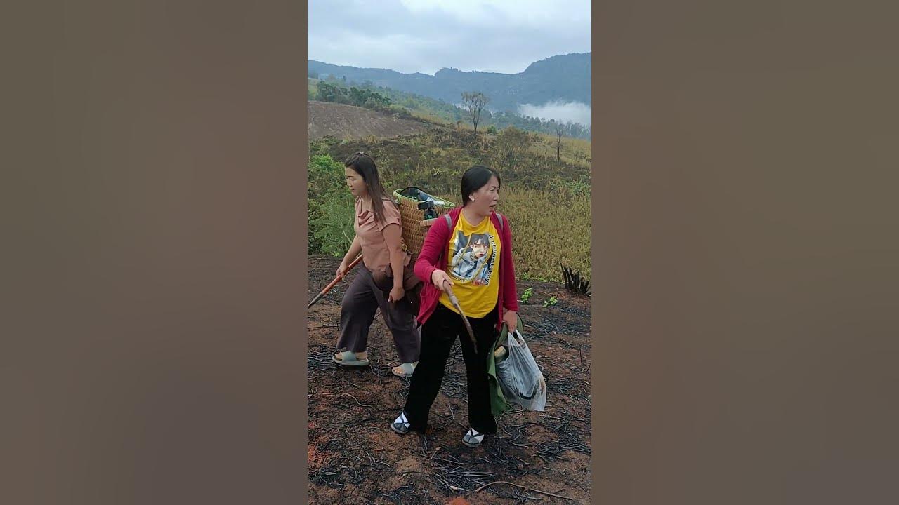 mus cog pob kws - YouTube