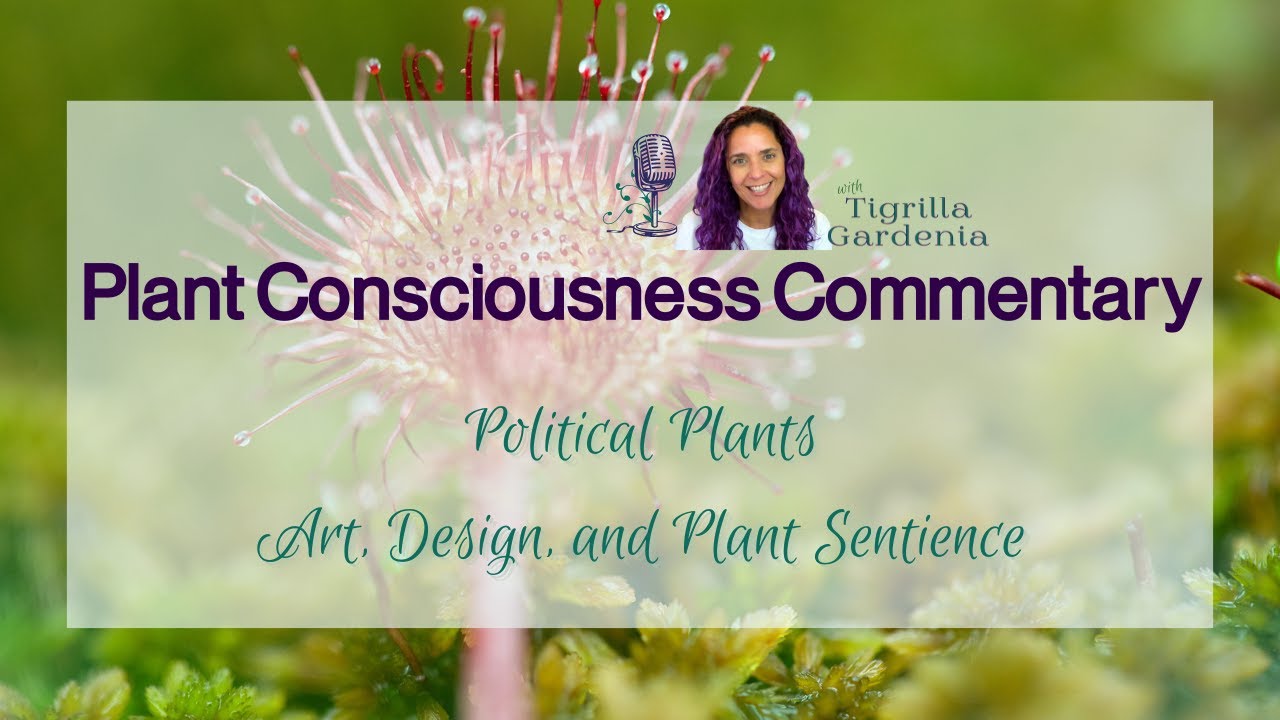 Political Plants - Art, Design, and Plant Sentience | Plant ...