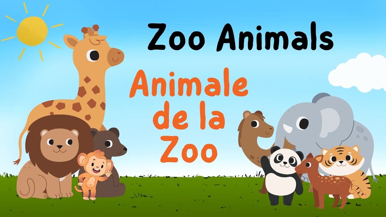 🦁🐘🐧Animale de la Zoo - Learn Romanian and English with Zoo Animals - YouTube