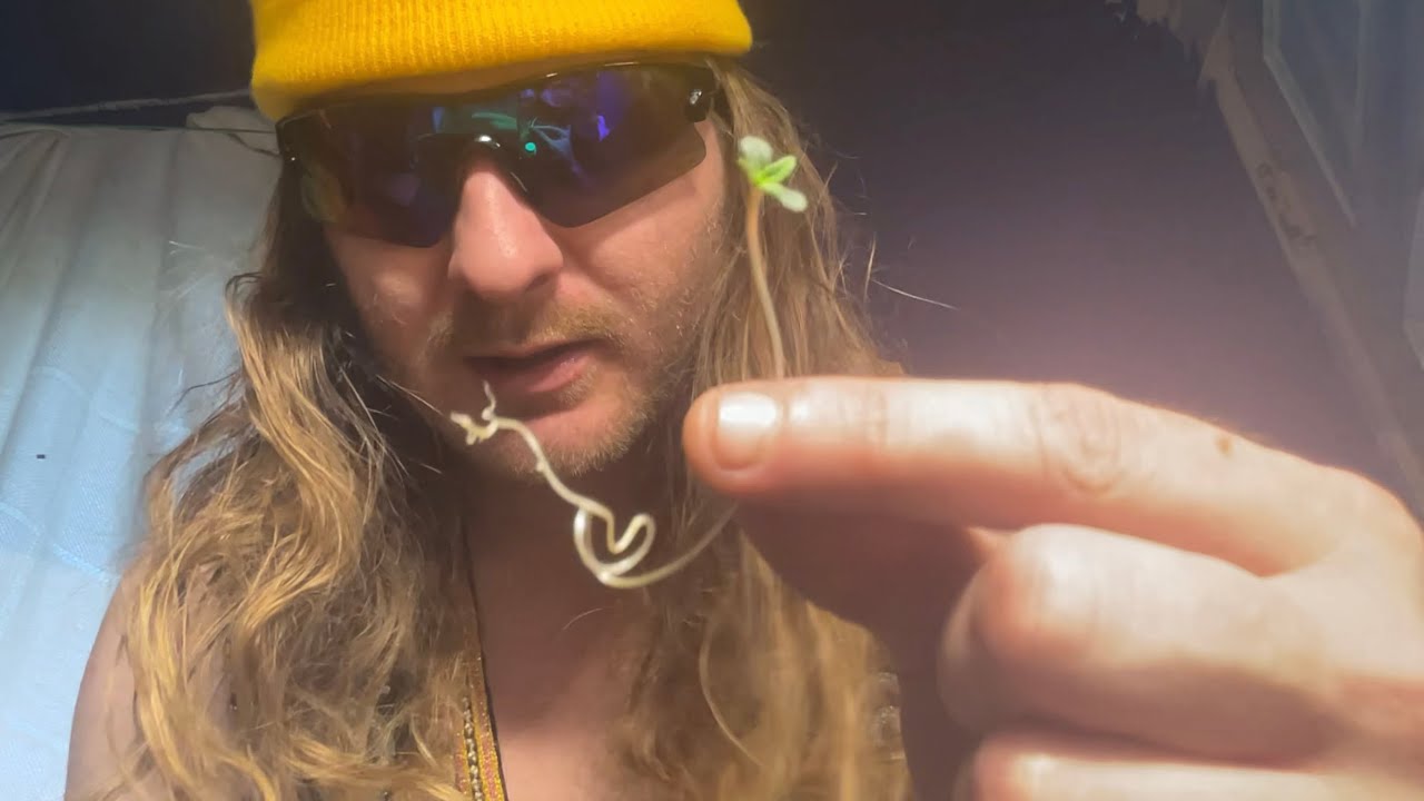 Chucky Pollens calls Matt Riot again..You call this a clone bro? - YouTube