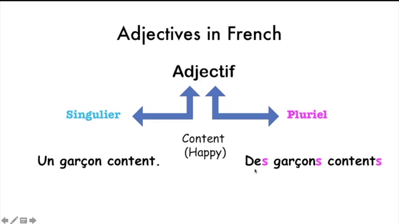 Adjectives in French - Les Adjectives Singulier et Pluriel en Français ...
