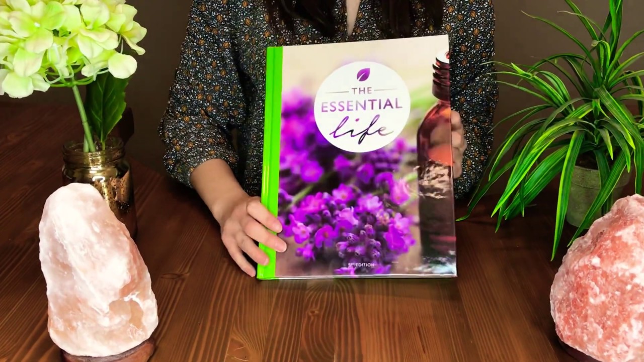 The Essential Life Book is EASY to Use! - YouTube