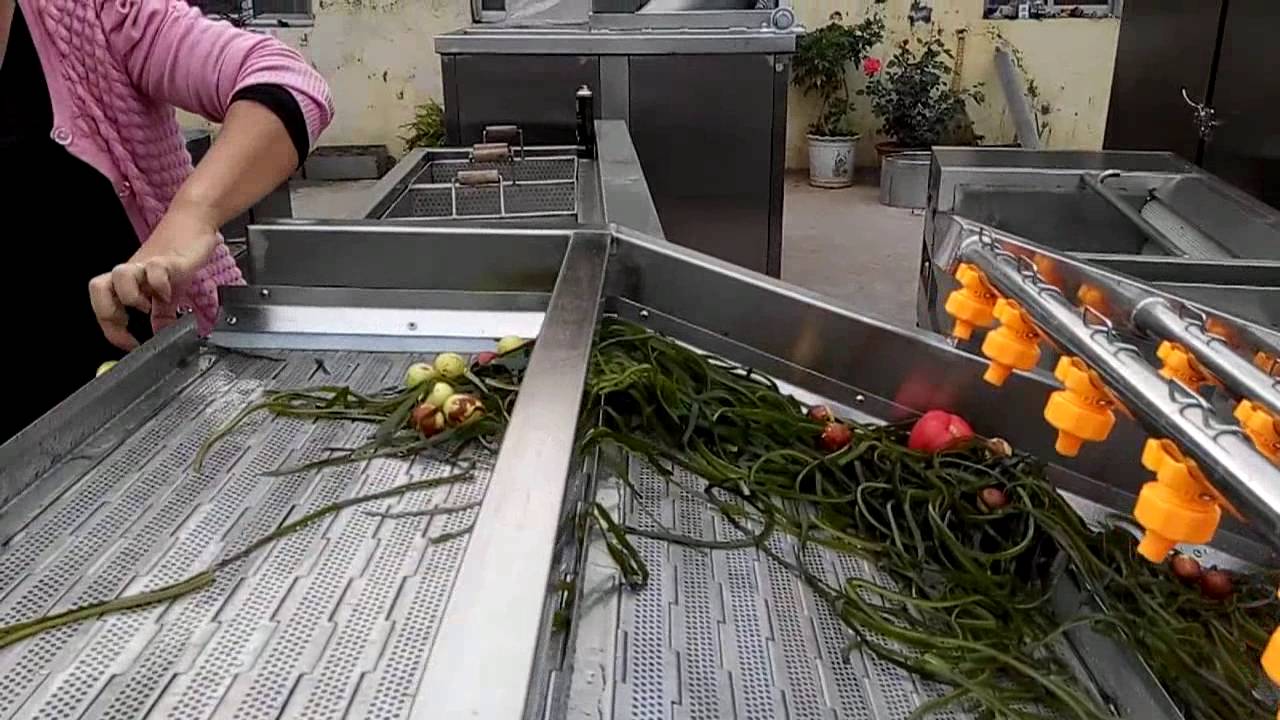 Seaweed Washing Machine - YouTube