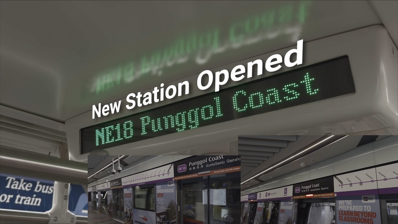 [Open To Public!] NE18 Punggol Coast [SBST] - YouTube
