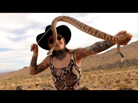 Rattlesnake Rescue! Saving Snakes with California's Snake Whisperer ...