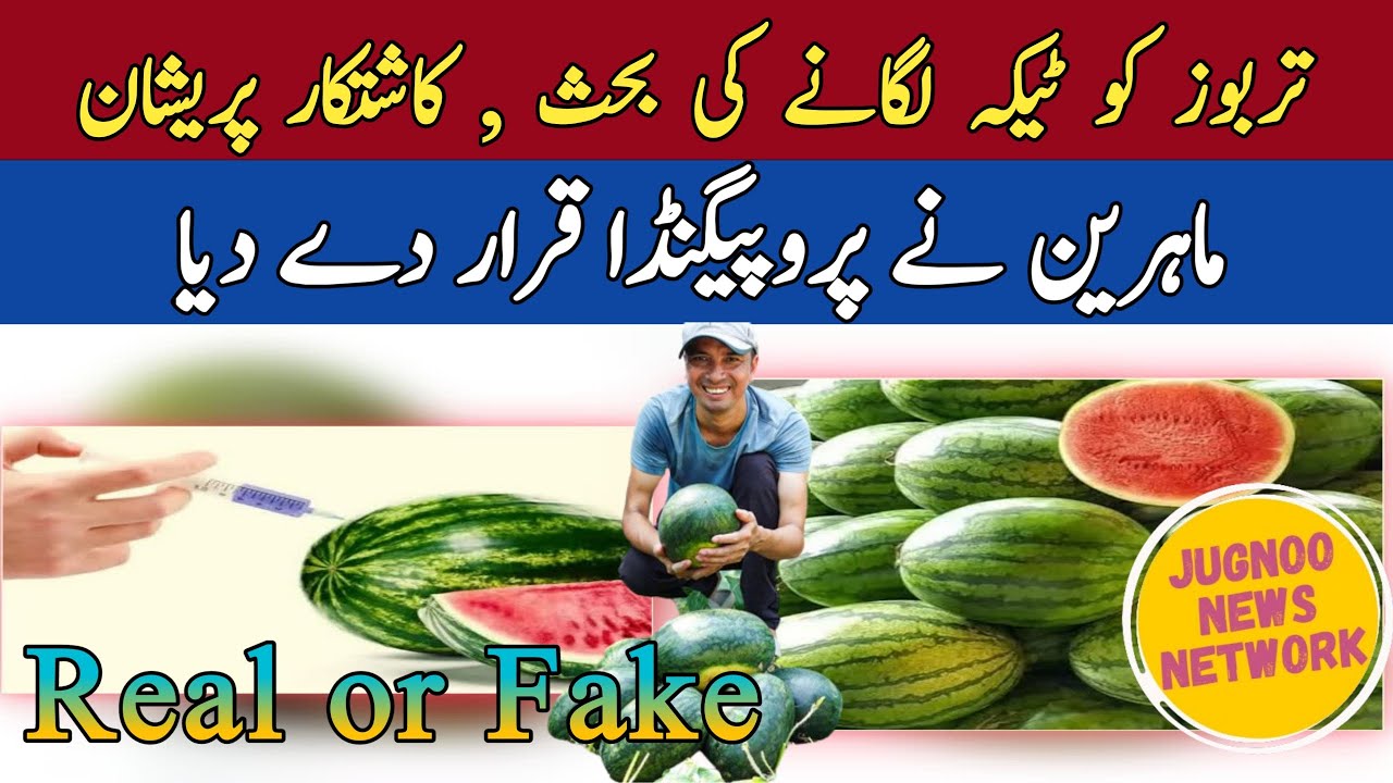 Watermelon Injected with Chemical | Watermelon Injection Video ...