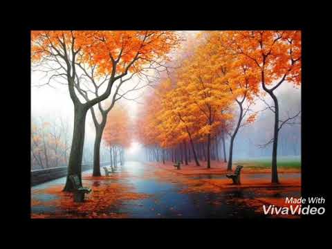 Qisa ancaq mena dolu ser