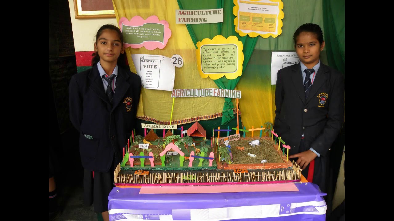 SOCIAL SCIENCE EXHIBITION 3 - YouTube