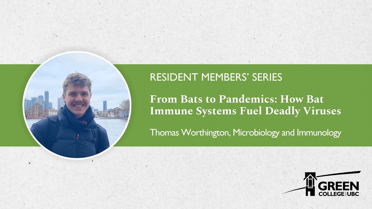 From Bats to Pandemics: How Bat Immune Systems Fuel Deadly Viruses ...