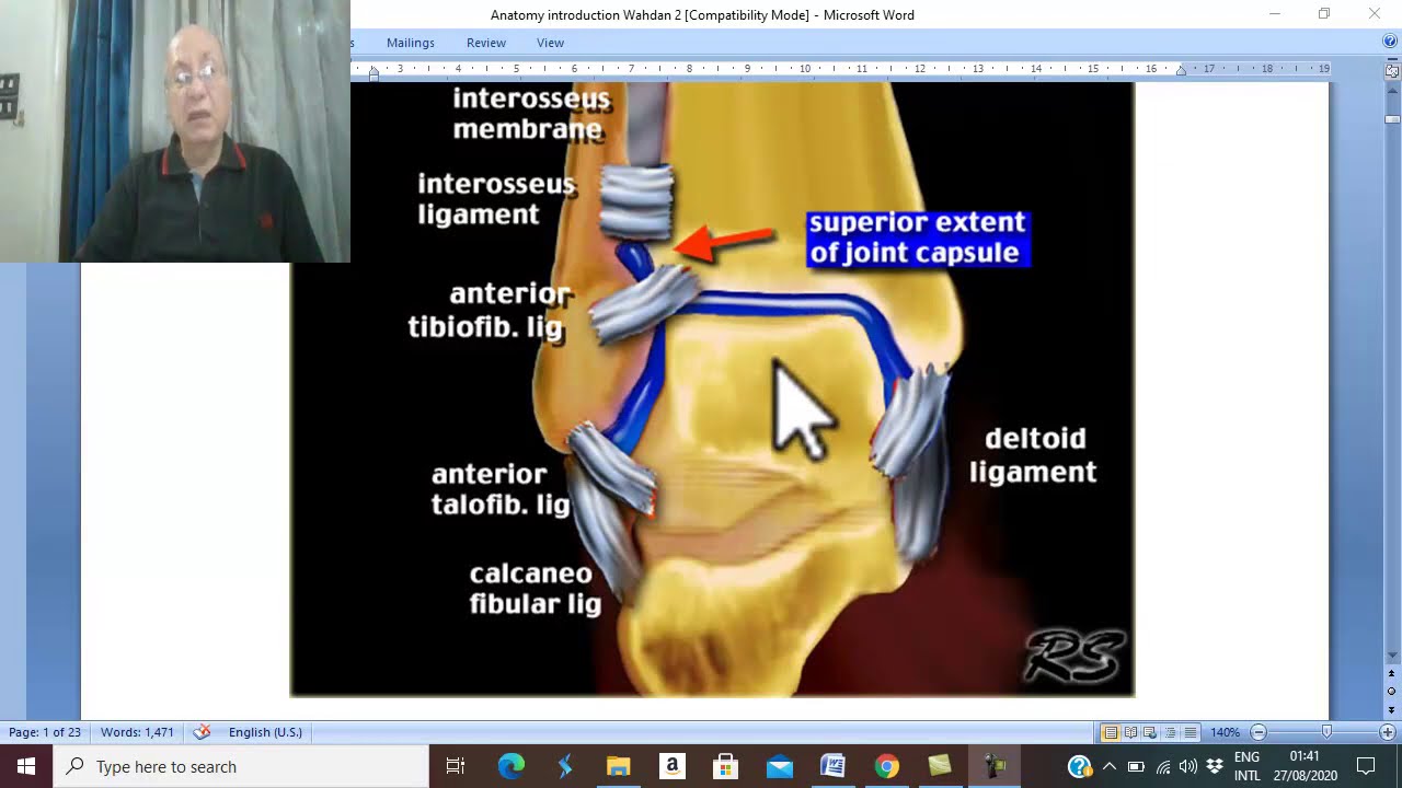 Introduction to anatomy in Arabic 9 (Joints , part 1 ) , by Dr. Wahdan ...