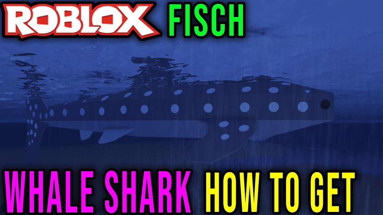 WHALE SHARKI - HOW TO GET [FISCH] - Roblox - YouTube