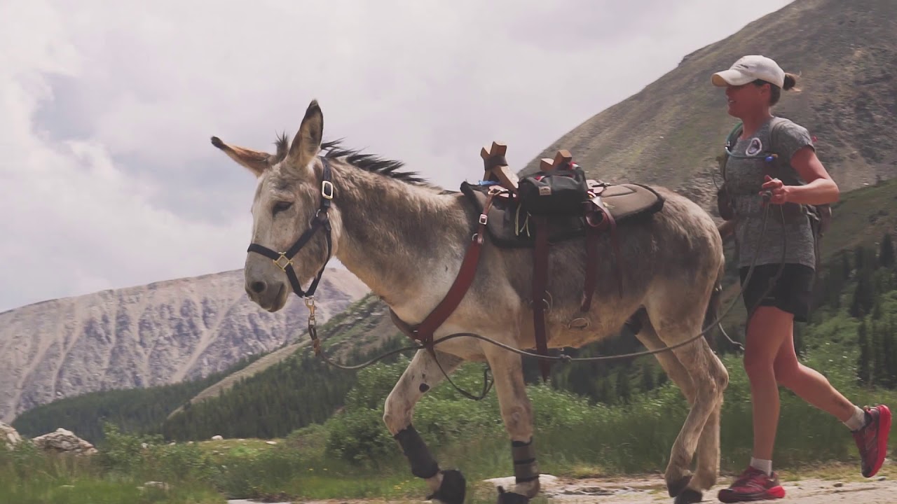 Fairplay Pack-Burro Race - YouTube